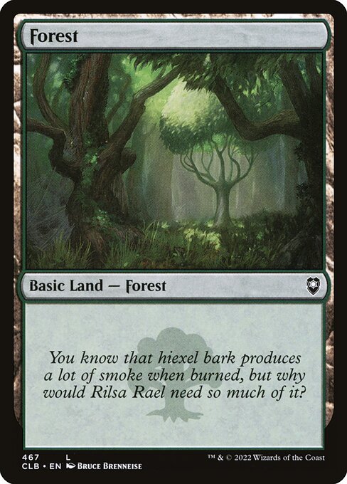 Ishai & Anara "Enchanting Duo" - Commander (Ishai, Ojutai Dragonspeaker ...