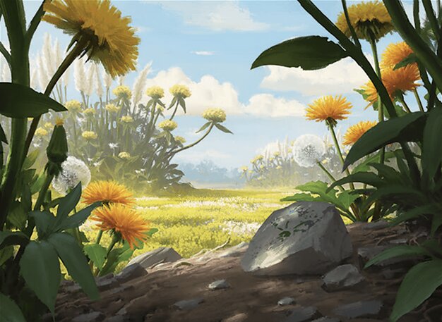 Hare Starter Deck - None