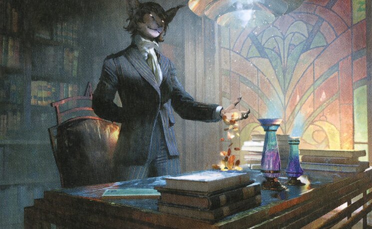 Jinnie Fey's Pet Store - Commander (Jinnie Fay, Jetmir's Second ...