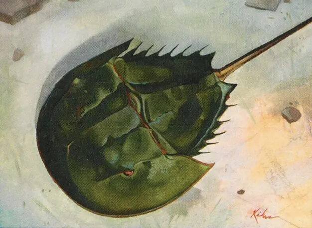 Sniper Crab - Commander (The Reality Chip)