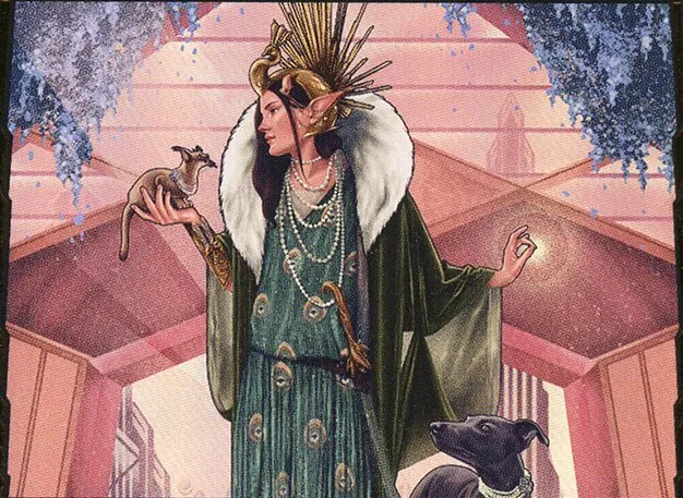 Jinnie Fay, it's raining Cats (and Dogs) - Commander (Jinnie Fay ...