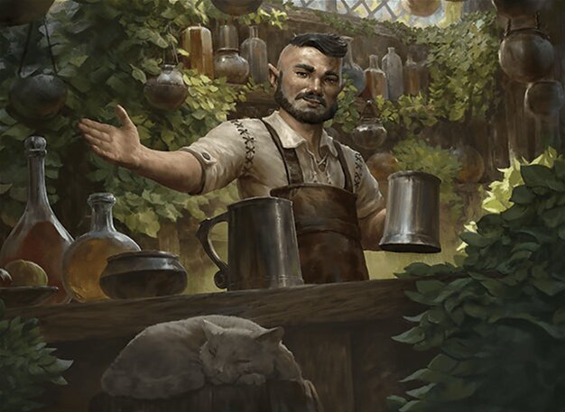 DnD cube - Commander