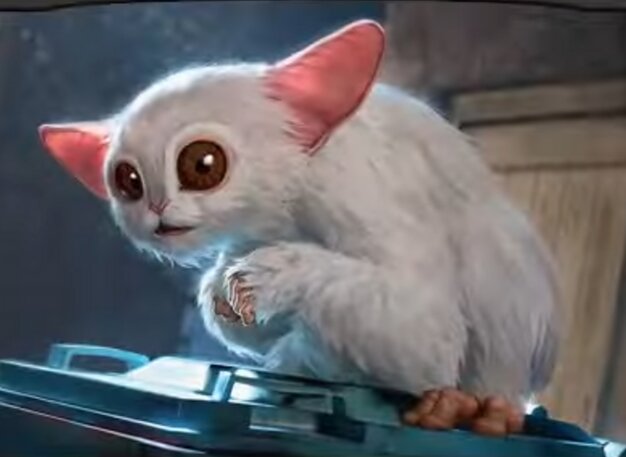 All hail the meep - Commander (The Meep)