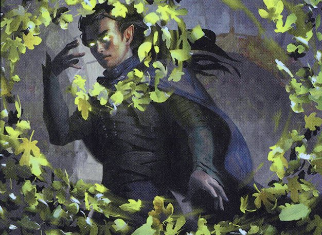 Rocco "Puttanesca" - Commander (Rocco, Cabaretti Caterer)