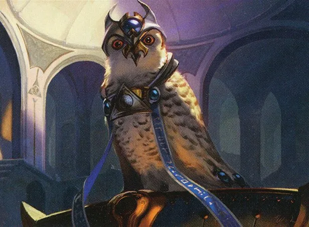 Canadian Highlander: Flying Men - Canadian Highlander