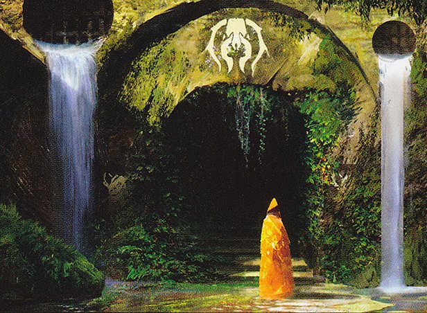 Land Base 2c - Golgari - Package