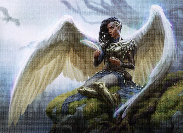 CoCo Angels - Pioneer