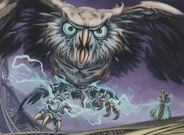 Looking for - Commander