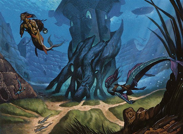 Highlander: Fish - Australian Highlander