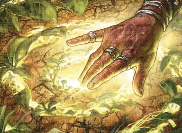 Green Land Ramp Spells - Package