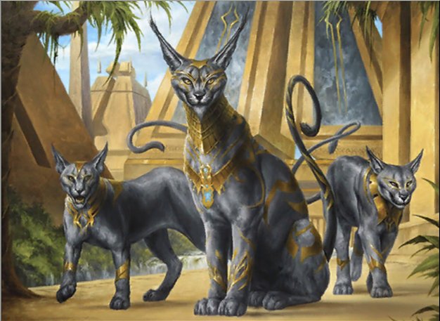 Mono White Cats | Foundations Standard - Standard