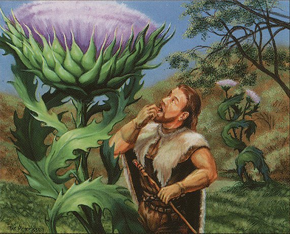 non-land Ramp - Package