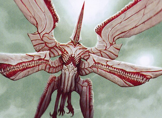 MOM Standard Caw Blade - Standard