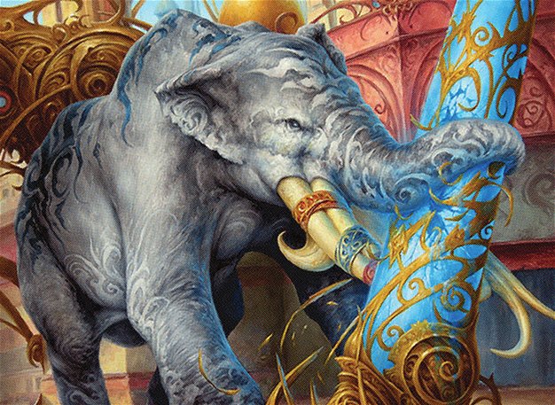 Elephants - Commander