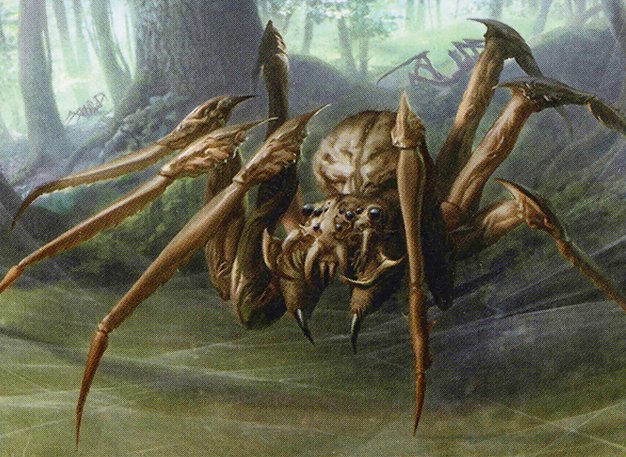 There Are Spiders Under Your Skin - Commander (Shelob, Child of Ungoliant)
