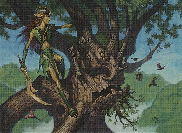 Morningtide - Package