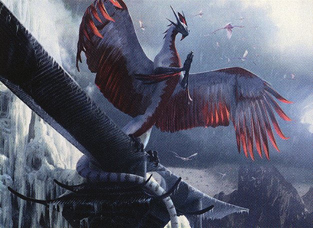 [WU] Ojutais wisdom - Commander (Dragonlord Ojutai)