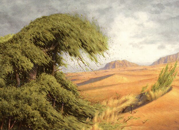 Green Ramp - Package