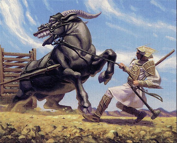 Mono White Ramp - Package