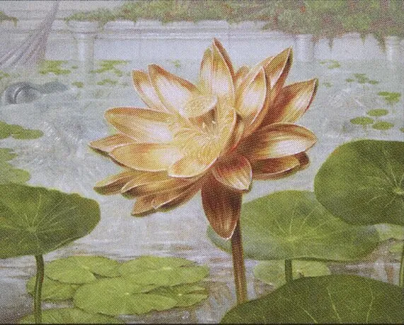 HB - Ramp - Mana rocks (YMKM) - Package