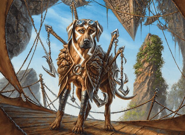 All White Ramp Options - Package