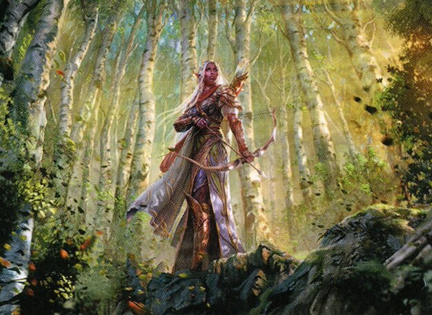 Nock.... Draw... LOOSE! - Commander (Ohabi Caleria)