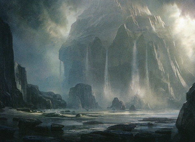 New Standard Control - Standard