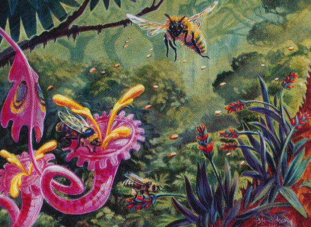 Enchantment Ramp - Package — Moxfield, a deck building website for ...