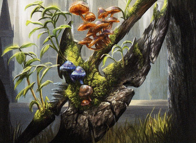 Landfall Attack No Budget - Commander (Erinis, Gloom Stalker / Guild ...