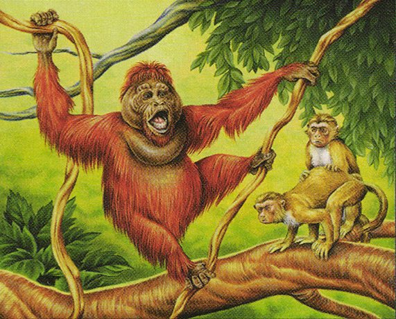 3rd Monkey - Commander (Kibo, Uktabi Prince) — Moxfield, a deck ...