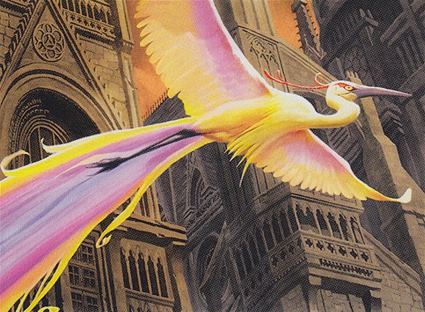 green t1 ramp - Package