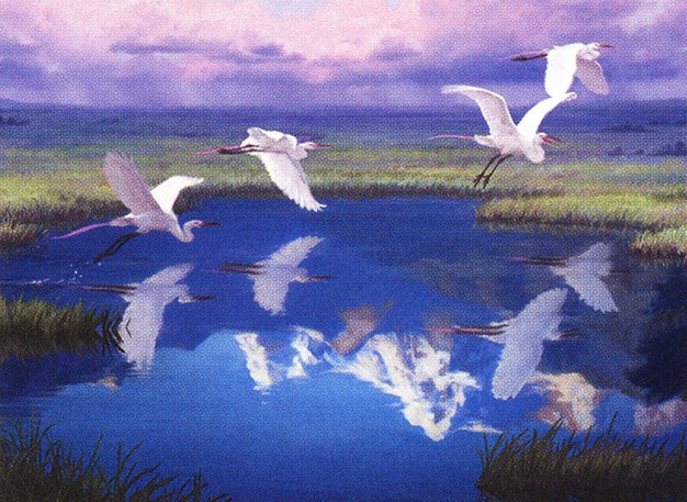 Birds! (birds everywhere!) - Commander (Kangee, Sky Warden)