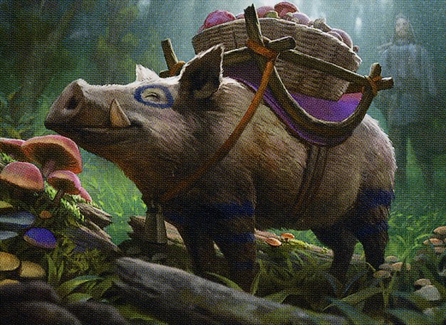 Big Gay Pig Sanctuary - Commander (Halana and Alena, Partners)