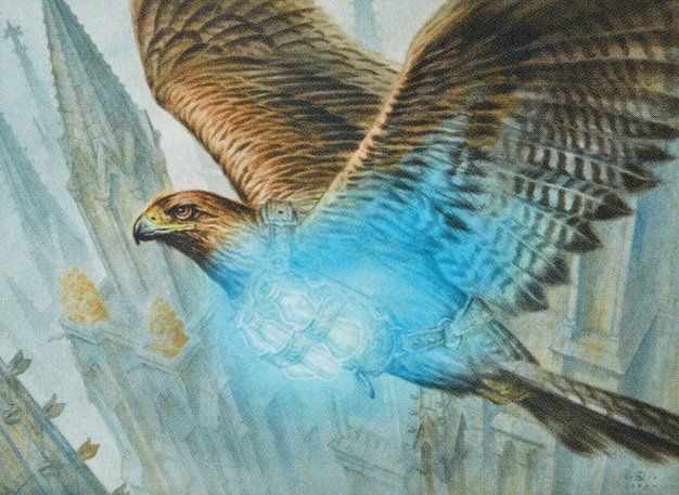 Darkened Sky - Commander (Esior, Wardwing Familiar / Tymna the Weaver ...