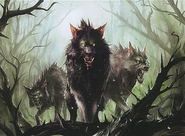 Wolves - None — Moxfield, a deck building website for Magic the Gathering