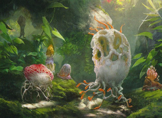 slimyfeet - Commander (Slimefoot, the Stowaway) — Moxfield, a deck ...