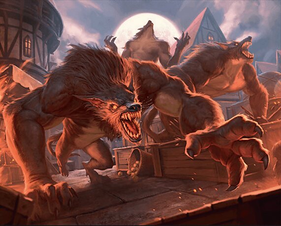 shadow - Commander (Shadow the Hedgehog)