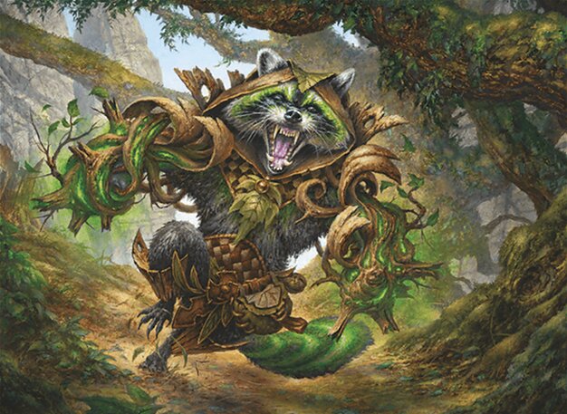 Rocky Racoon - Standard