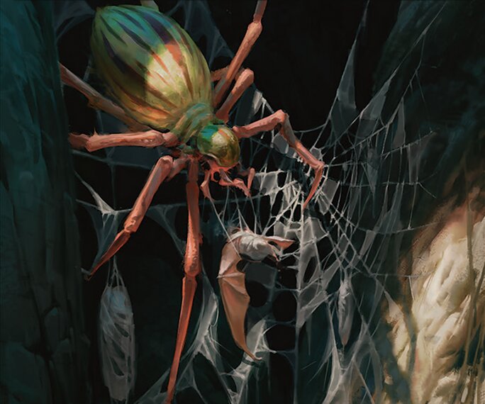 Spider Spawning - None