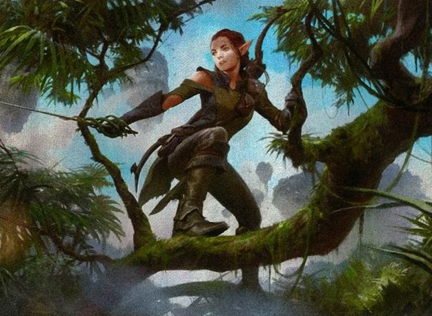 Humans and Elves - Modern