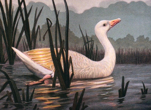 Lonis, Trinket Collector - Commander (Lonis, Cryptozoologist)