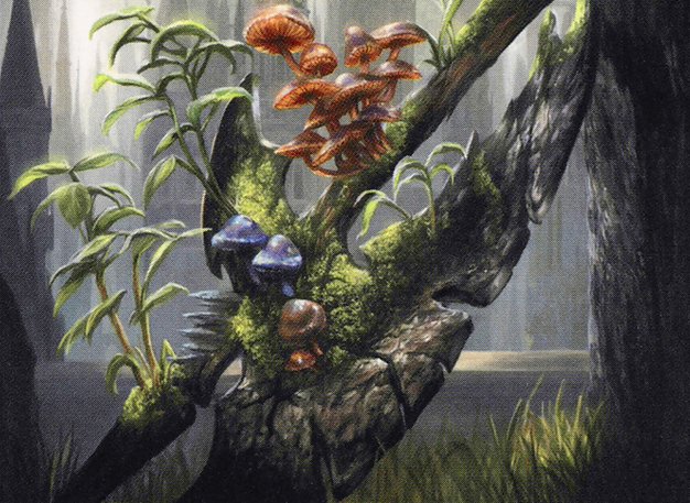 Temur Sabertooth Midrange/Combo - Pauper EDH — Moxfield, a deck ...