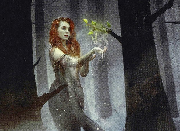 Wonderland - Pauper — Moxfield, a deck building website for Magic the ...