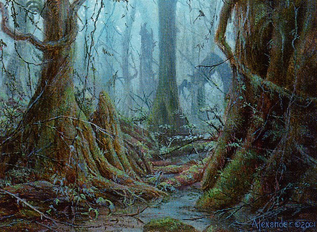 Master Chef - Commander (Gyome, Master Chef)