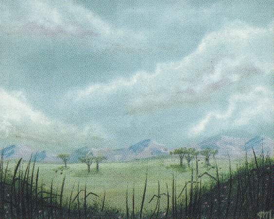 MTG Party Box / Cube - None