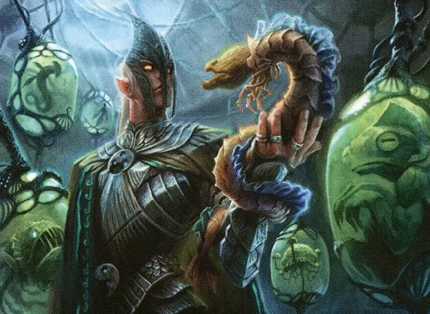 +1X2 deck 3 current deck - Commander (Tanazir Quandrix)