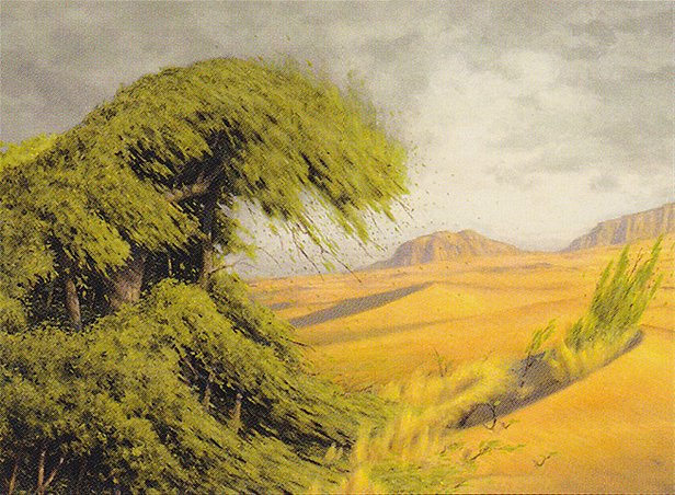 Green Ramp - Package