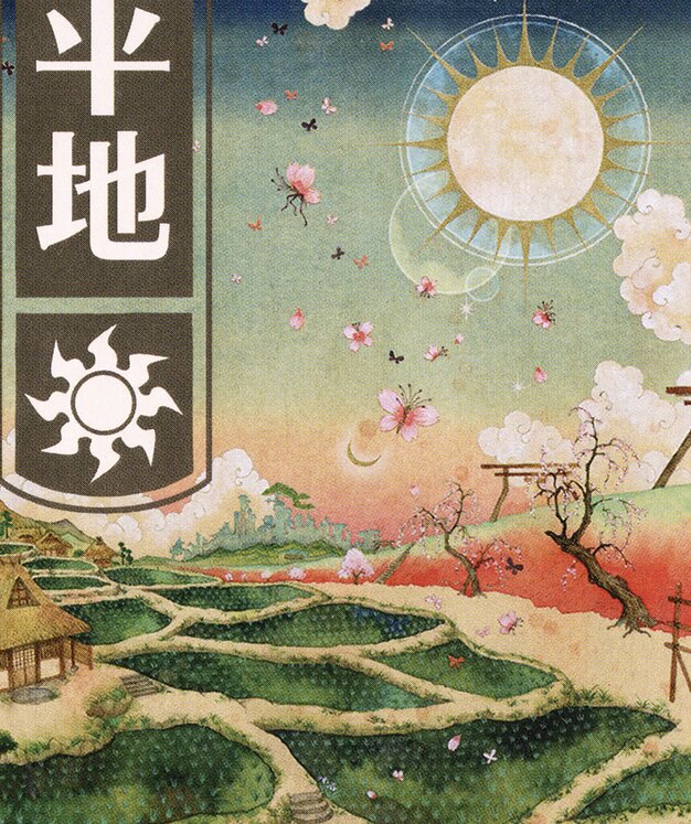 5 Year Cats - Standard