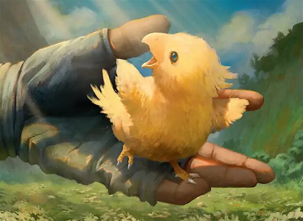 Chocobo deck! - Standard