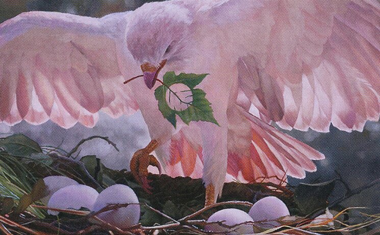 Falco & Friends - Commander (Falco Spara, Pactweaver)